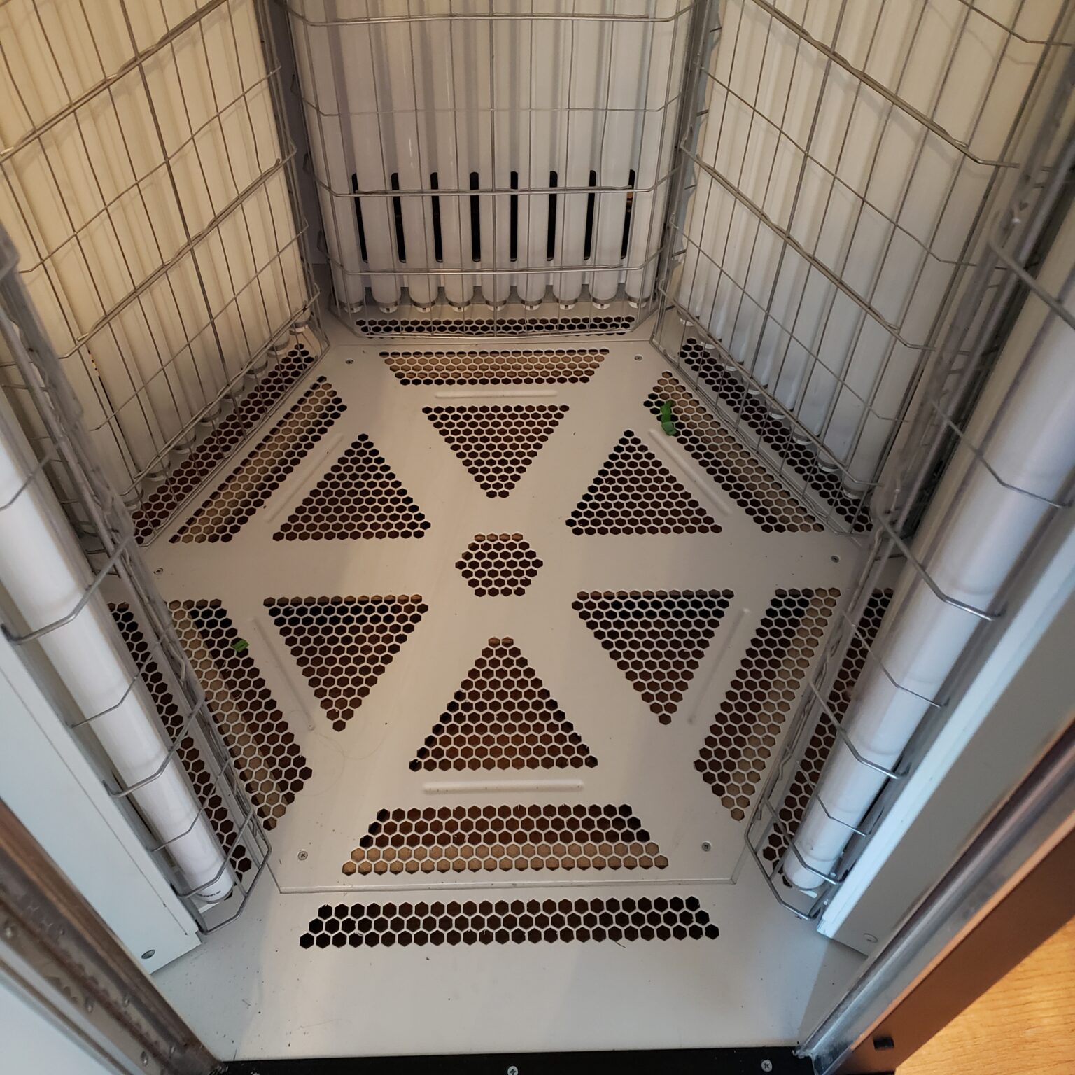 Certified Sun Capsule | 2ndSunTan